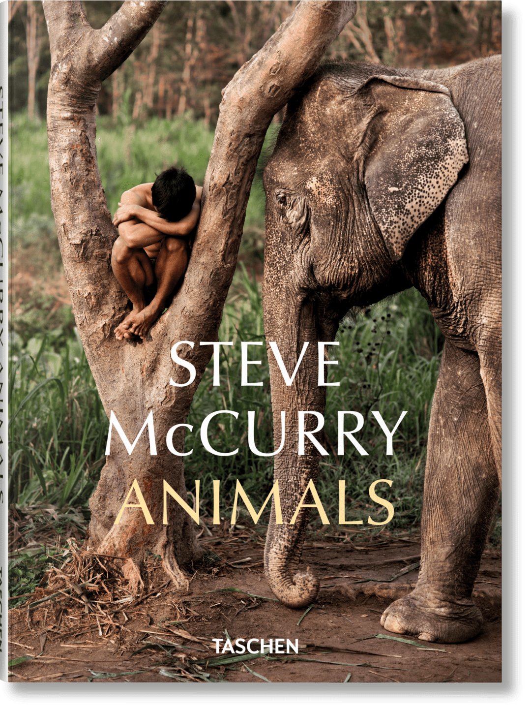 Taschen Steve Mccurry. Animals In White | ModeSens