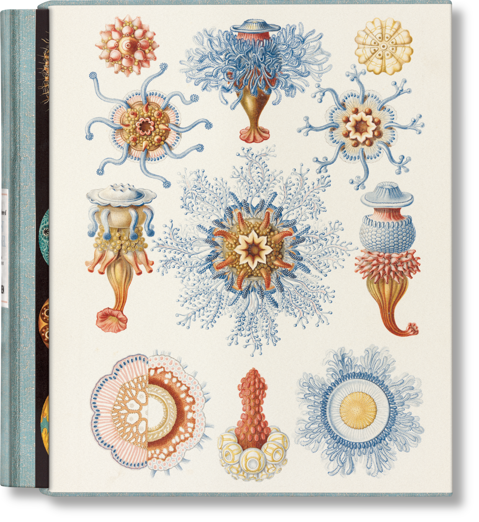 The Art and Science of Ernst Haeckel. TASCHEN
